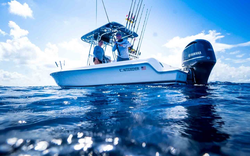 Contender: Models, Price Lists & Sales - itBoat