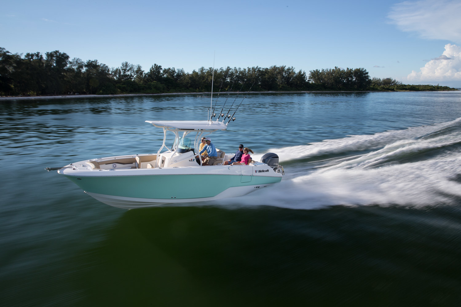 Wellcraft 262 Fisherman: Prices, Specs, Reviews and Sales Information ...