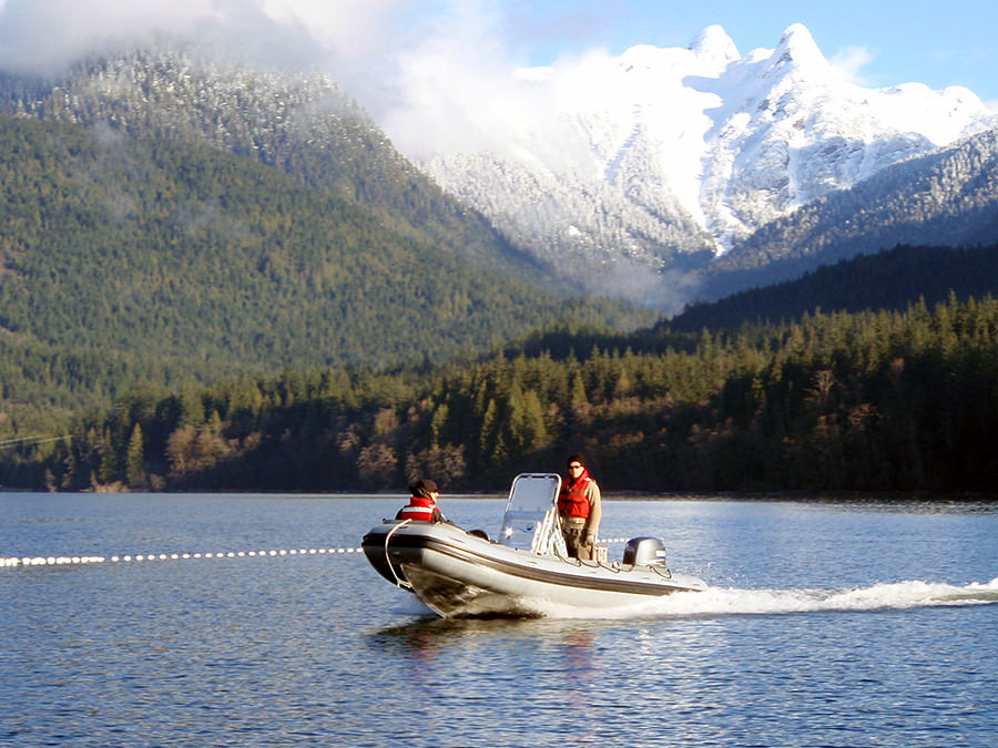 AB Inflatables Profile A 16: Prices, Specs, Reviews and Sales ...