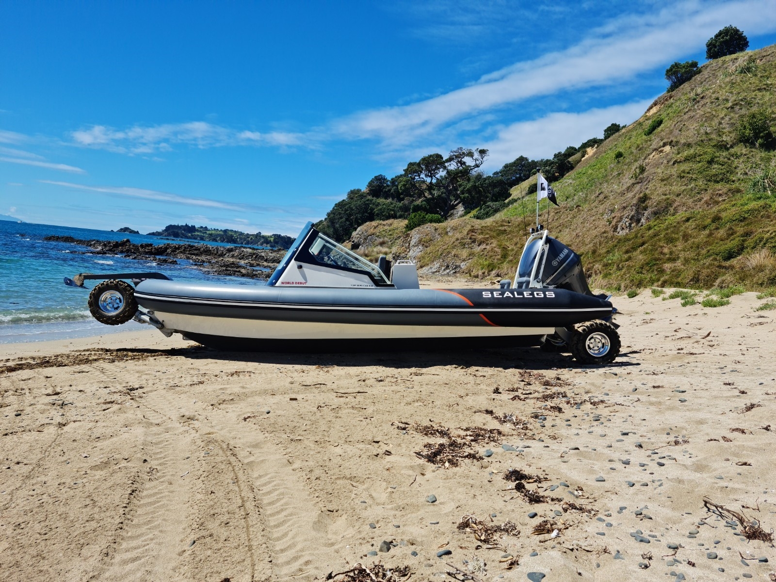 Sealegs 7.5m Semi-Cab RIB: Prices, Specs, Reviews and Sales Information ...