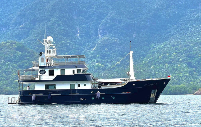 Halter Marine : Models, Price Lists & Sales - itBoat