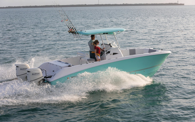 SeaArk Big Easy: Prices, Specs, Reviews and Sales Information - itBoat