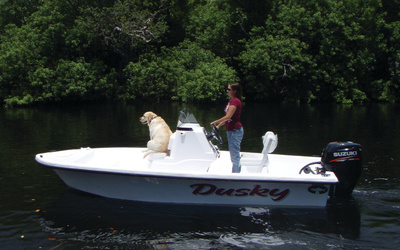 Dusky: Models, Price Lists & Sales - itBoat