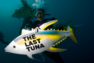 On the approach - photo of the day from itBoat magazine