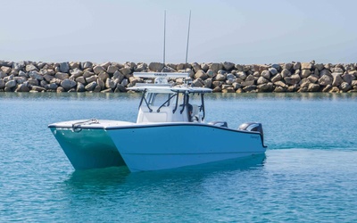 Boats Freeman Boatworks ⚓ purchase, range of models on itBoat