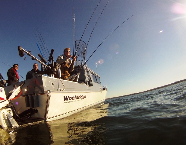 Wooldridge: Models, Price Lists & Sales - itBoat