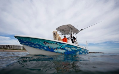 Ranger 223C: Prices, Specs, Reviews and Sales Information - itBoat