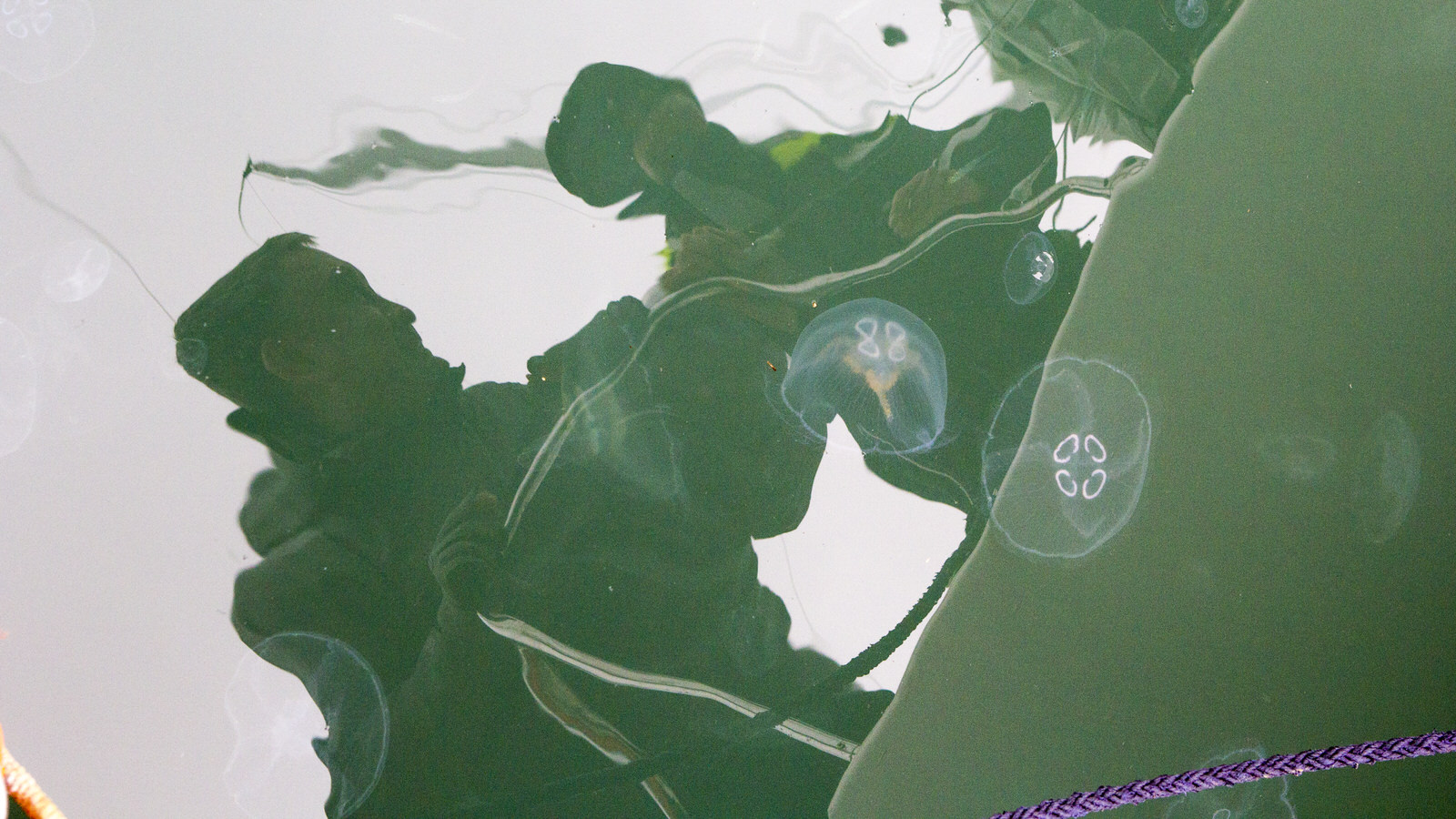 Prepare the sledge in summer and the yacht in winter - Photo gallery ...