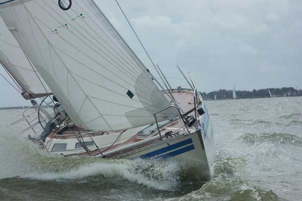 WASA 38: Prices, Specs, Reviews and Sales Information - itBoat