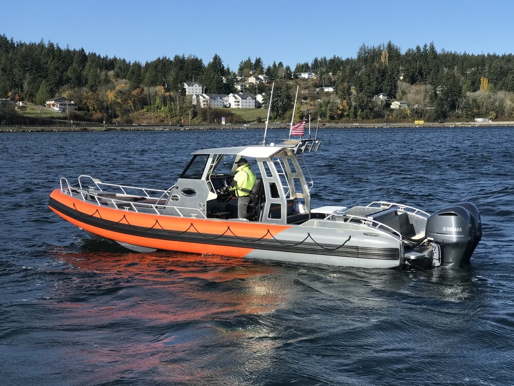 Life Proof 31 Hard Top: Prices, Specs, Reviews and Sales Information ...