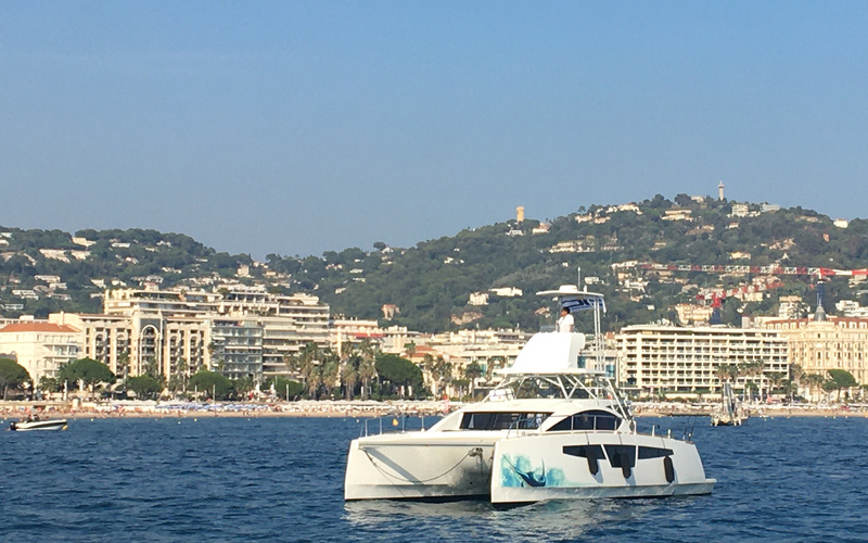 C-Cat 40 Power Fish: Prices, Specs, Reviews and Sales Information - itBoat