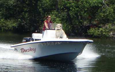 Dusky: Models, Price Lists & Sales - itBoat