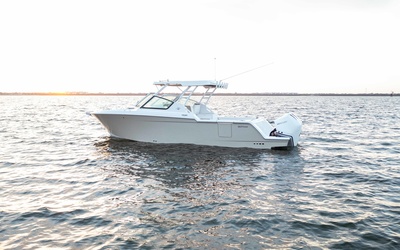 Bertram 800: Prices, Specs, Reviews and Sales Information - itBoat