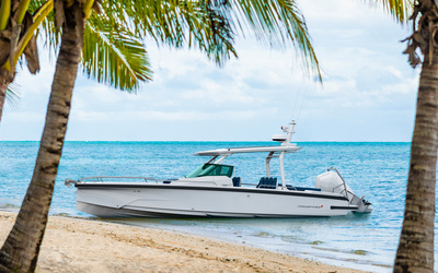 Everglades 295CC: Prices, Specs, Reviews and Sales Information - itBoat