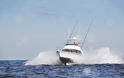 Bertram 800: Prices, Specs, Reviews and Sales Information - itBoat