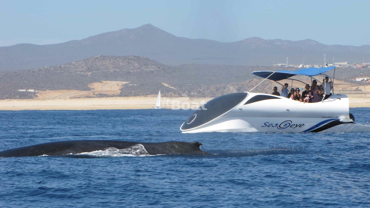 Катер Paritetboat Looker 320 в каталоге сайта itboat.com: цена и ...