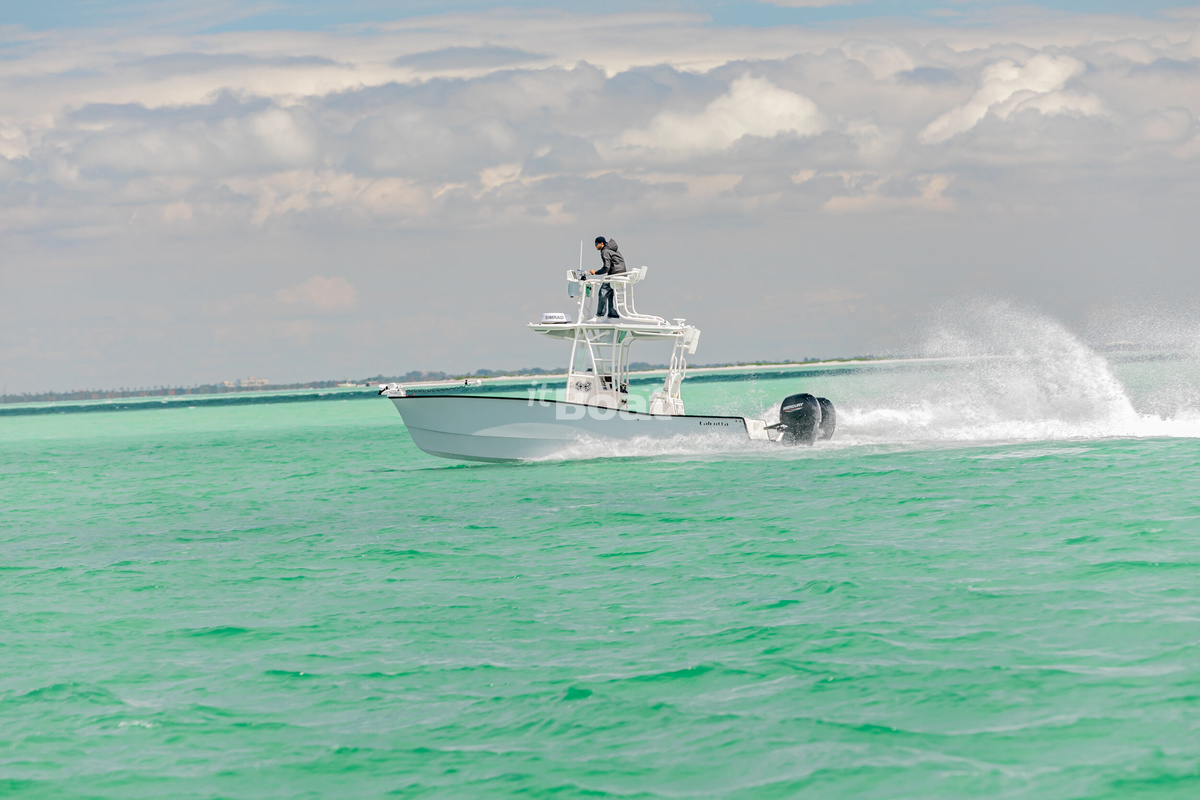 Calcutta 263: Prices, Specs, Reviews and Sales Information - itBoat